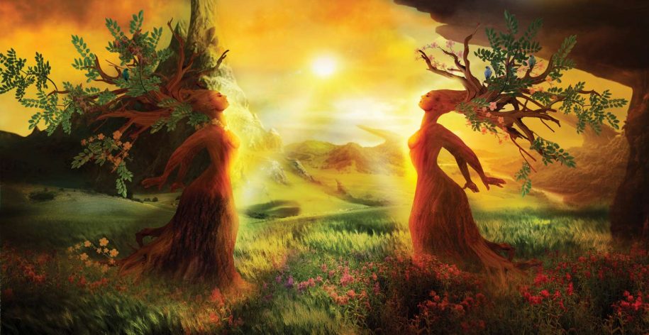 Women's Awakening Journey Online Program - The Nurtured Womb